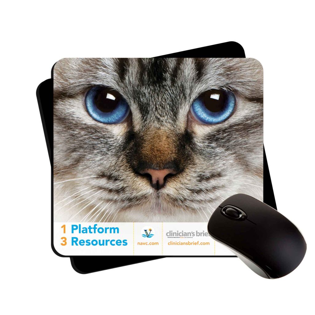 Elevate Your Brand with Premium Plastic Custom Mouse Pads